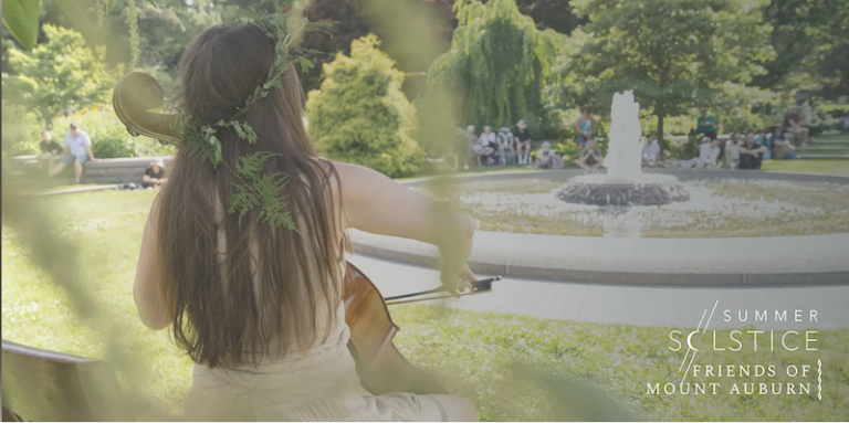 WEEKEND FUN: Dance Performance, Solstice Celebration, Bike Ride, World ...